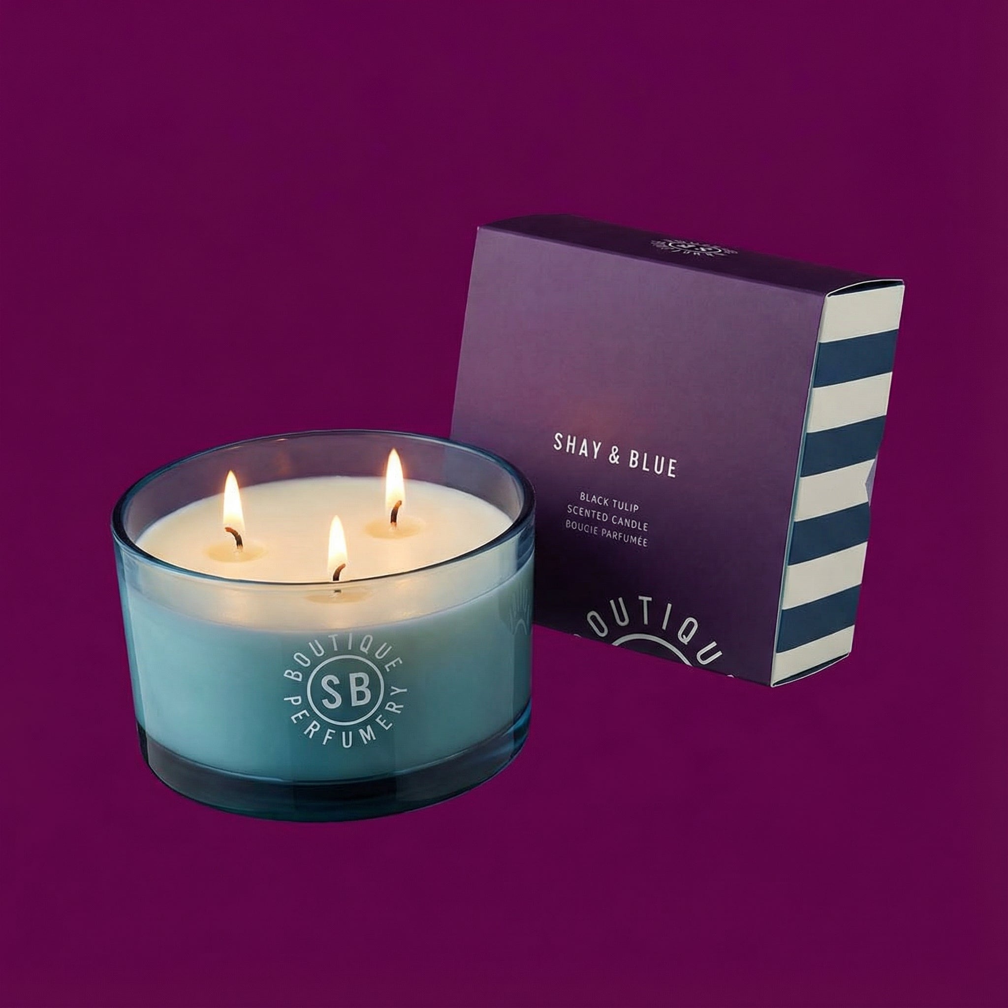 Tulip & Plum Vegan Candle 650g | Clean All Gender Fragrance | Shay ...