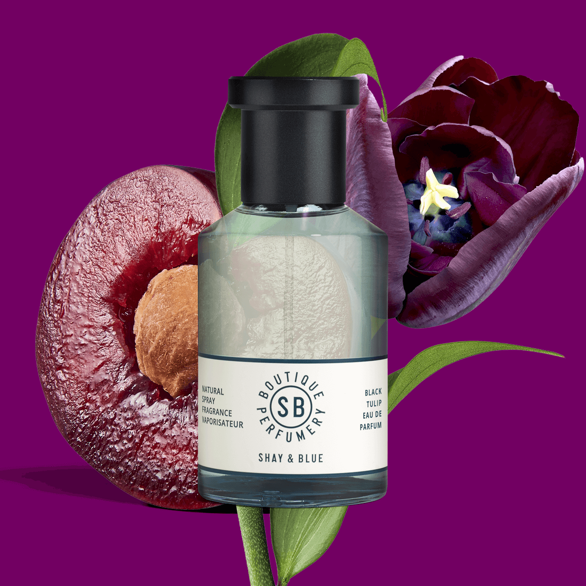 Shop all Fragrance – Shay & Blue USA